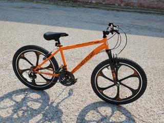 Mongoose alert 24 store